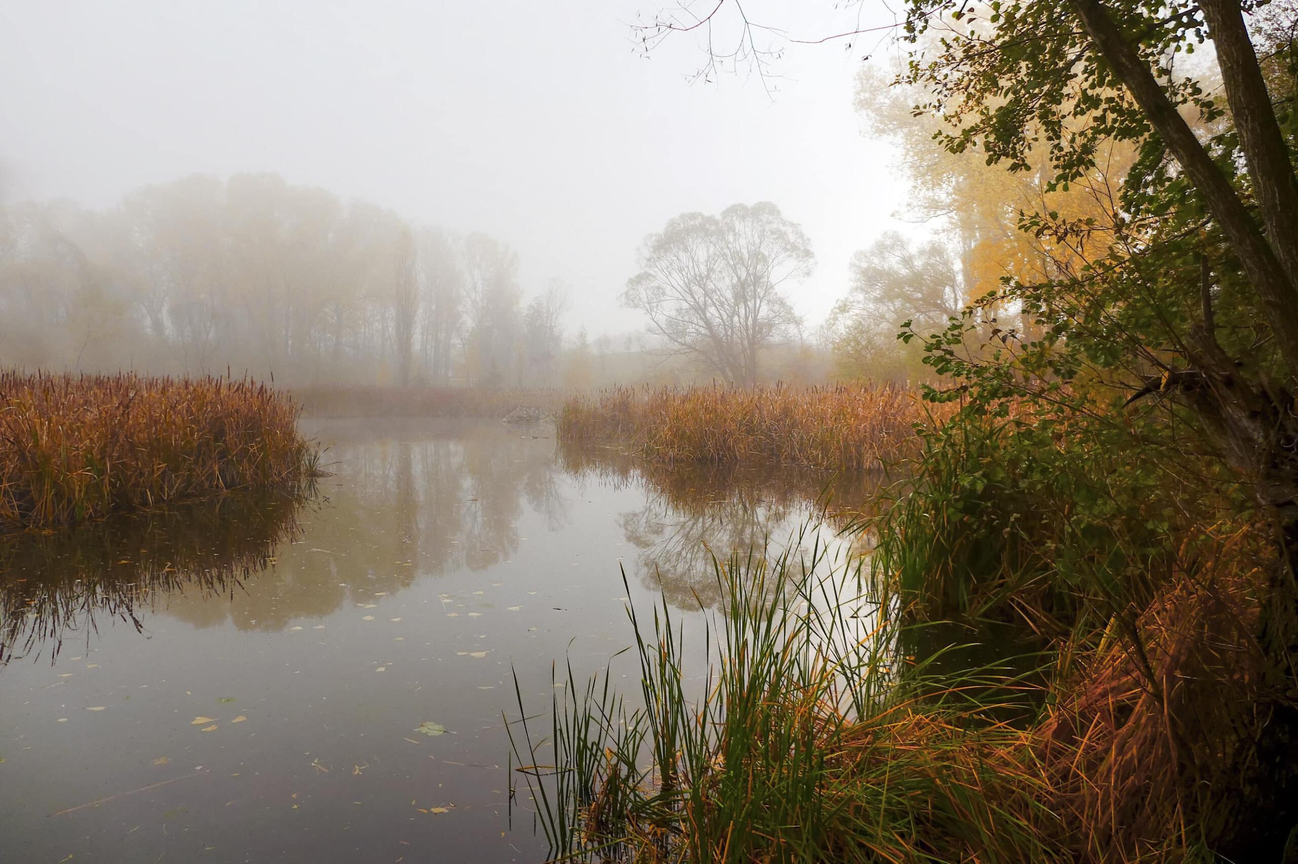 Selah House Photo Gallery | Selah House | Anderson, Indiana