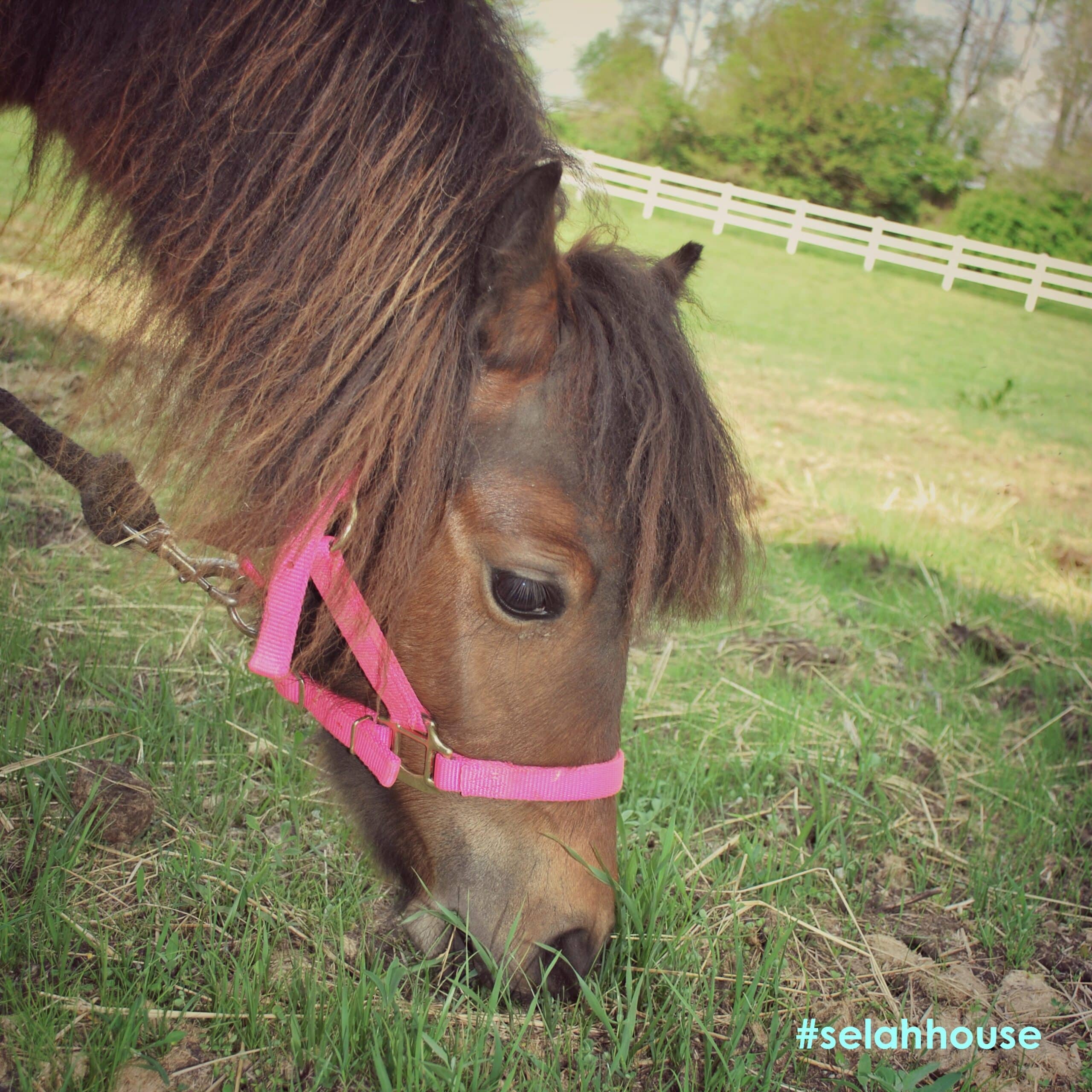 Eating Disorder Treatment Center Photo Gallery | Selah House | Indiana