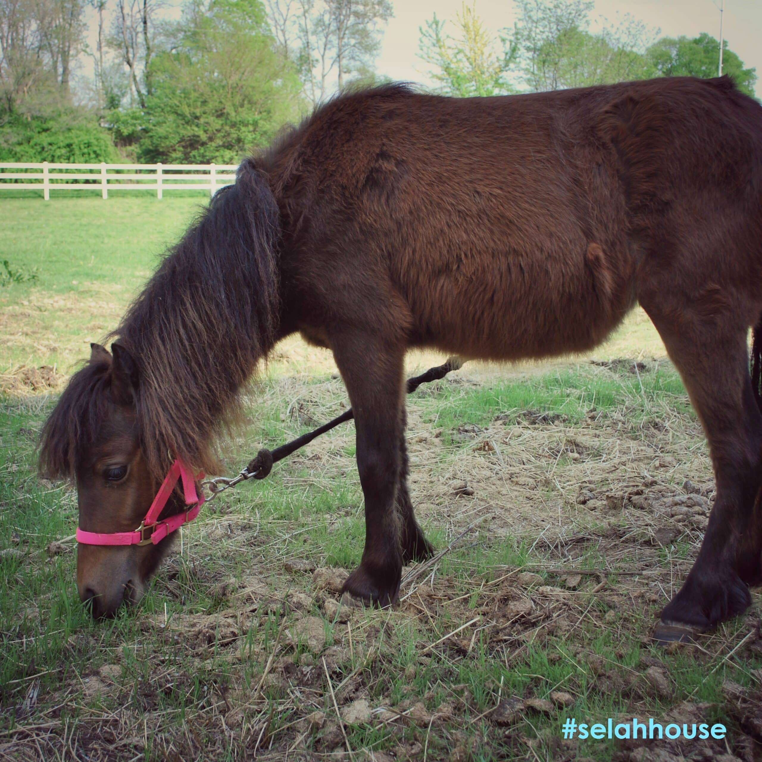 Selah House Photo Gallery | Selah House | Anderson, Indiana